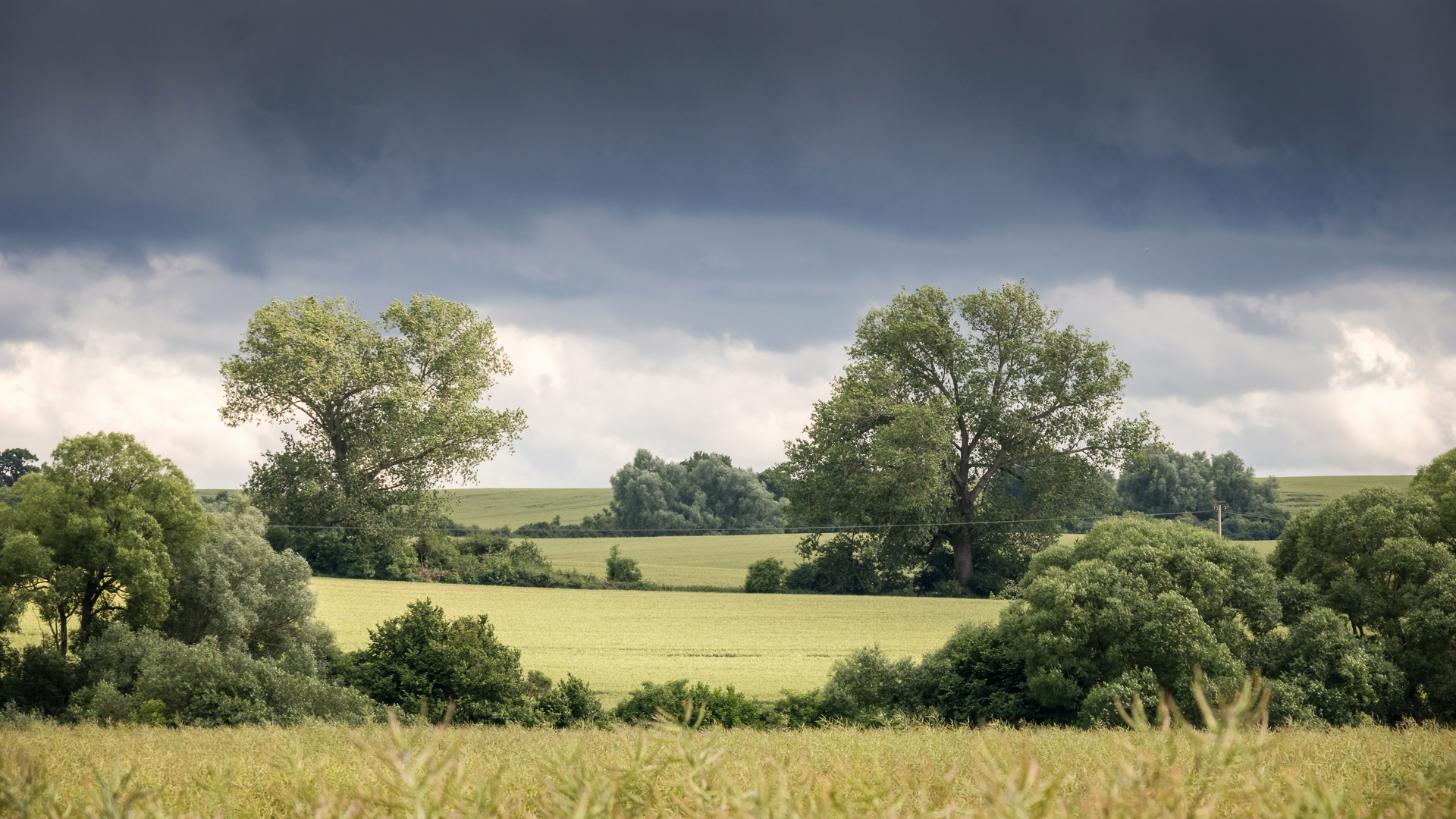 Juli-Land Foto & Bild | landschaft, lebensräume, Äcker, felder & wiesen ...