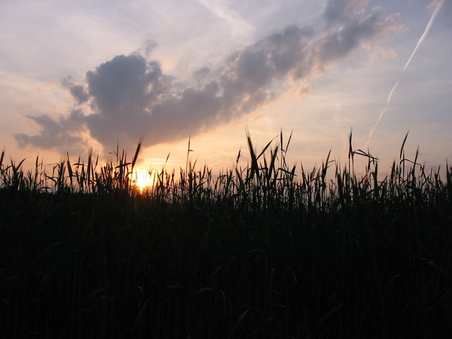 [july] Foto & Bild | sonnenuntergänge, himmel & universum, natur Bilder ...