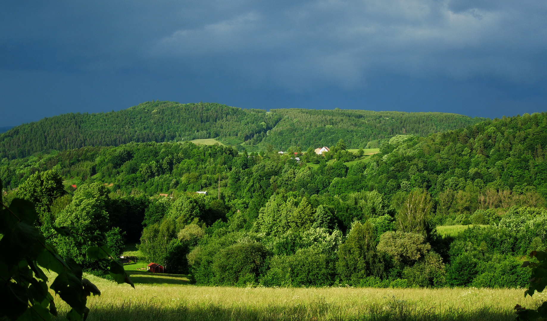 July Foto & Bild | landschaft, wald, natur Bilder auf fotocommunity