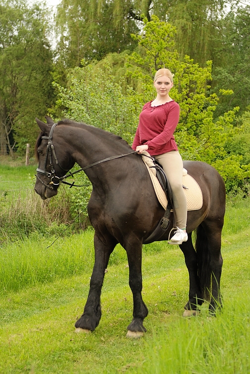 junge Reiterin Foto & Bild | sport, sport mit tieren, pferdesport ...