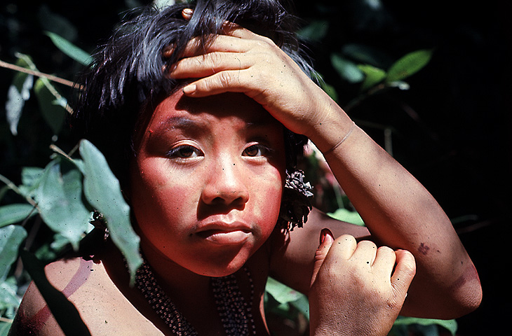 "Junge Waika Indianerin vor einem Fest" Foto & Bild | portrait ...