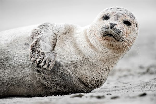 Tierkinder Bilder & Fotos