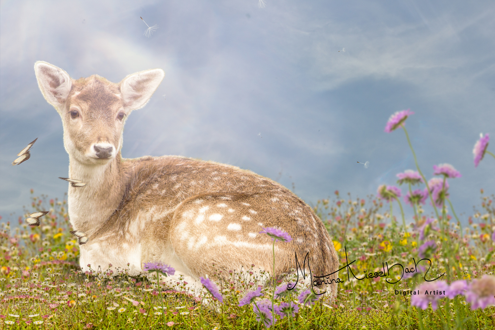 Junges Reh auf der Wiese. Foto & Bild | art, outdoor, natur Bilder auf ...