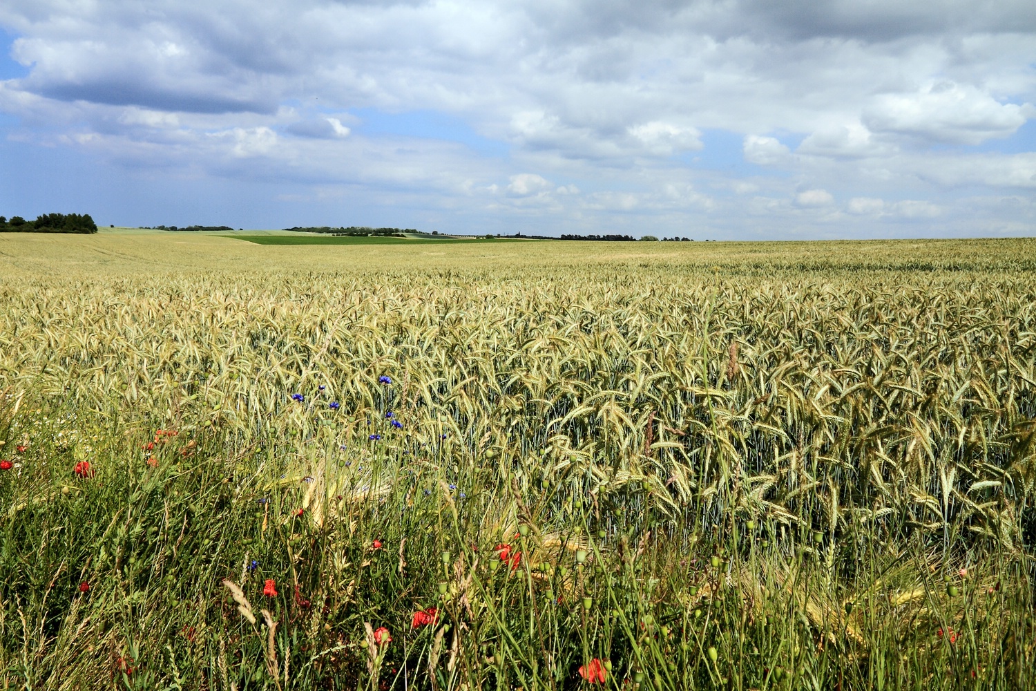 Juni Foto & Bild | urlaub, fotos, world Bilder auf fotocommunity