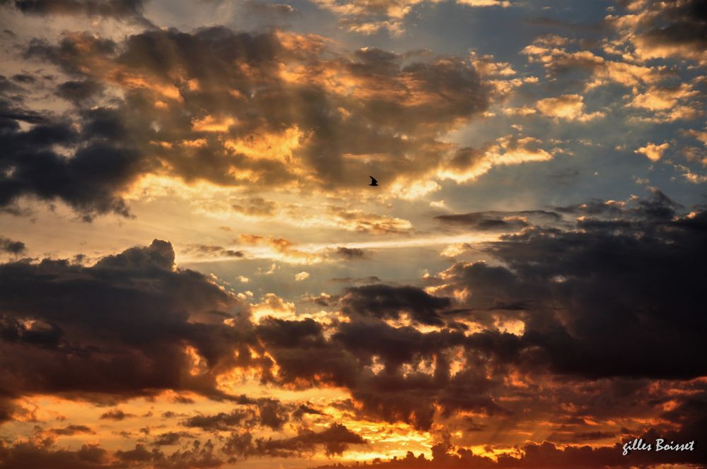 juste ciel ! (2) photo et image | paysages, mers et océans, ciel ...