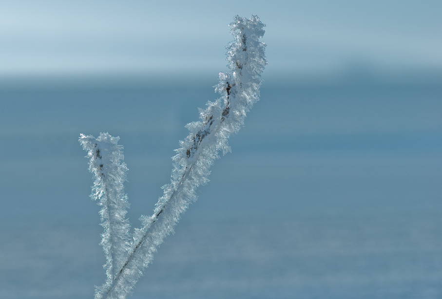 Kälte Foto & Bild | jahreszeiten, winter, natur Bilder auf fotocommunity