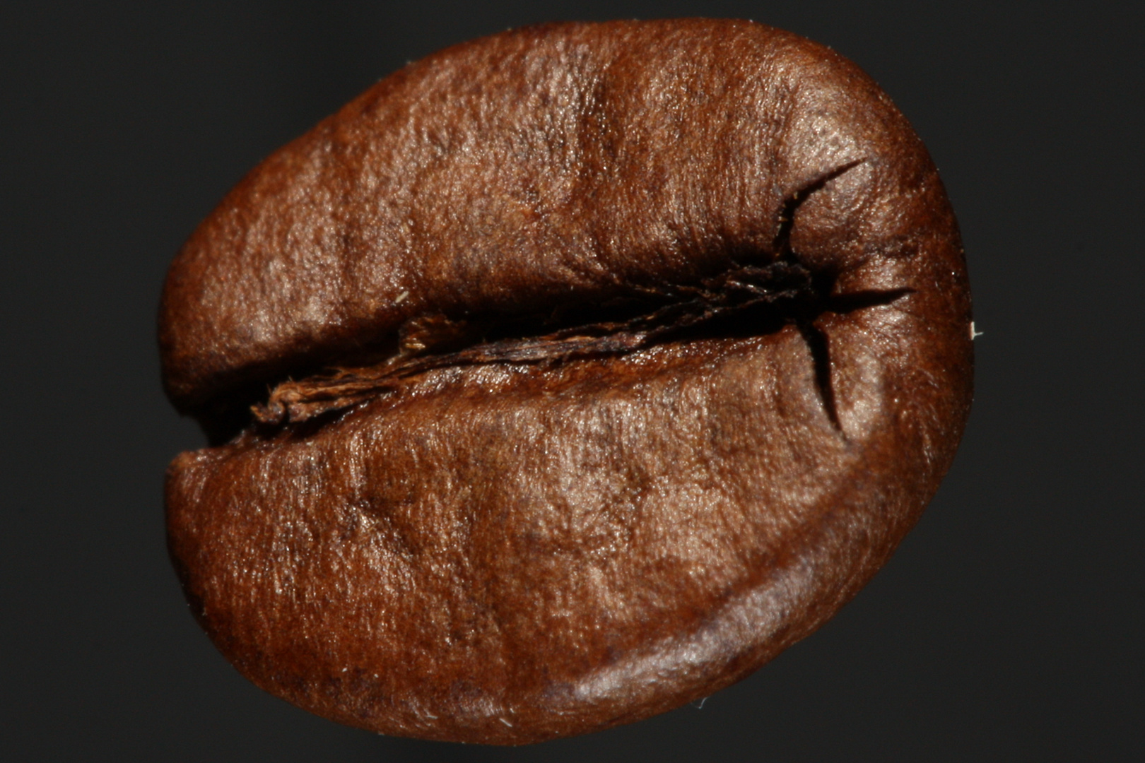 Kaffee mal anders Foto & Bild | nah- & makro, techniken, aufnahme-techniken Bilder auf fotocommunity