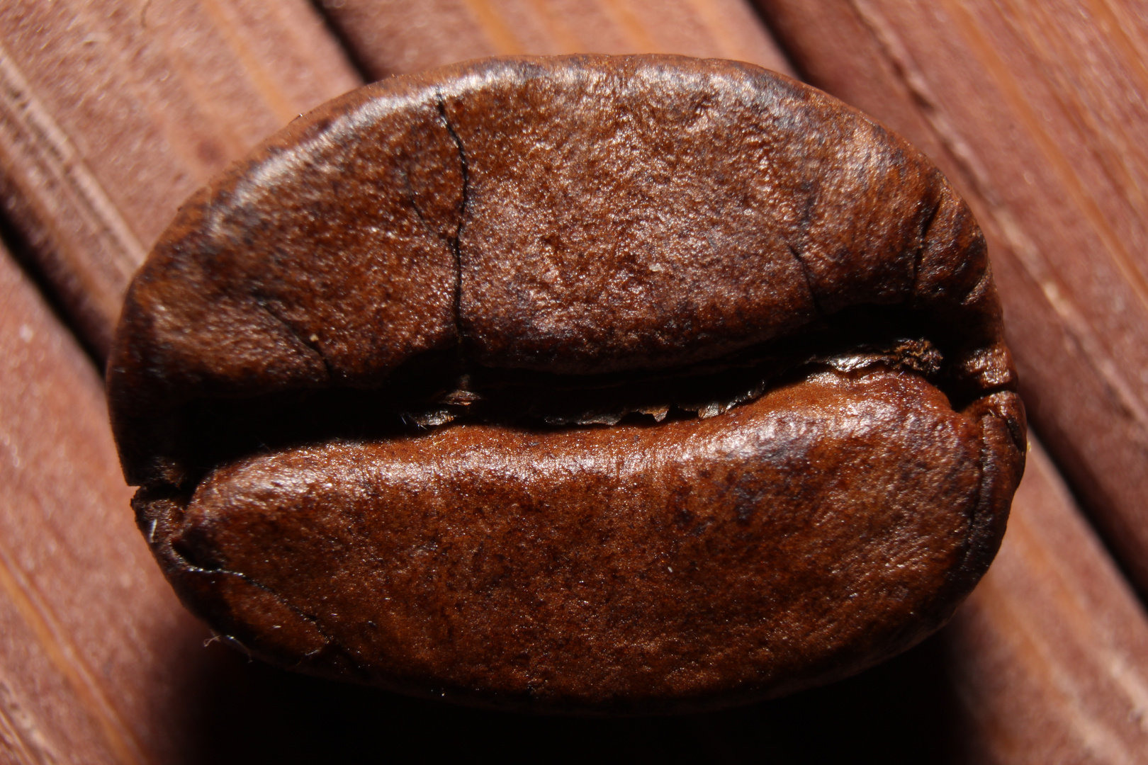 Kaffeebohne Foto & Bild | art, canon, spezial Bilder auf fotocommunity