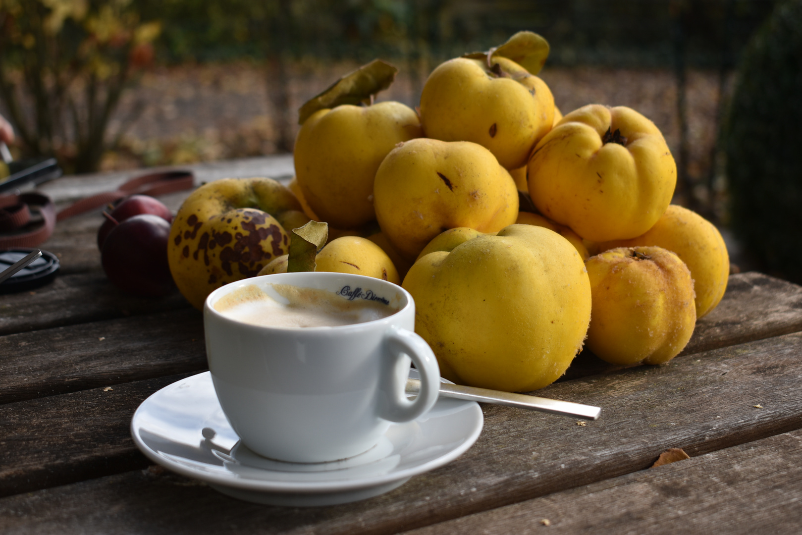 Kaffeepause - Days Foto & Bild | outdoor, natur, herbst Bilder auf ...