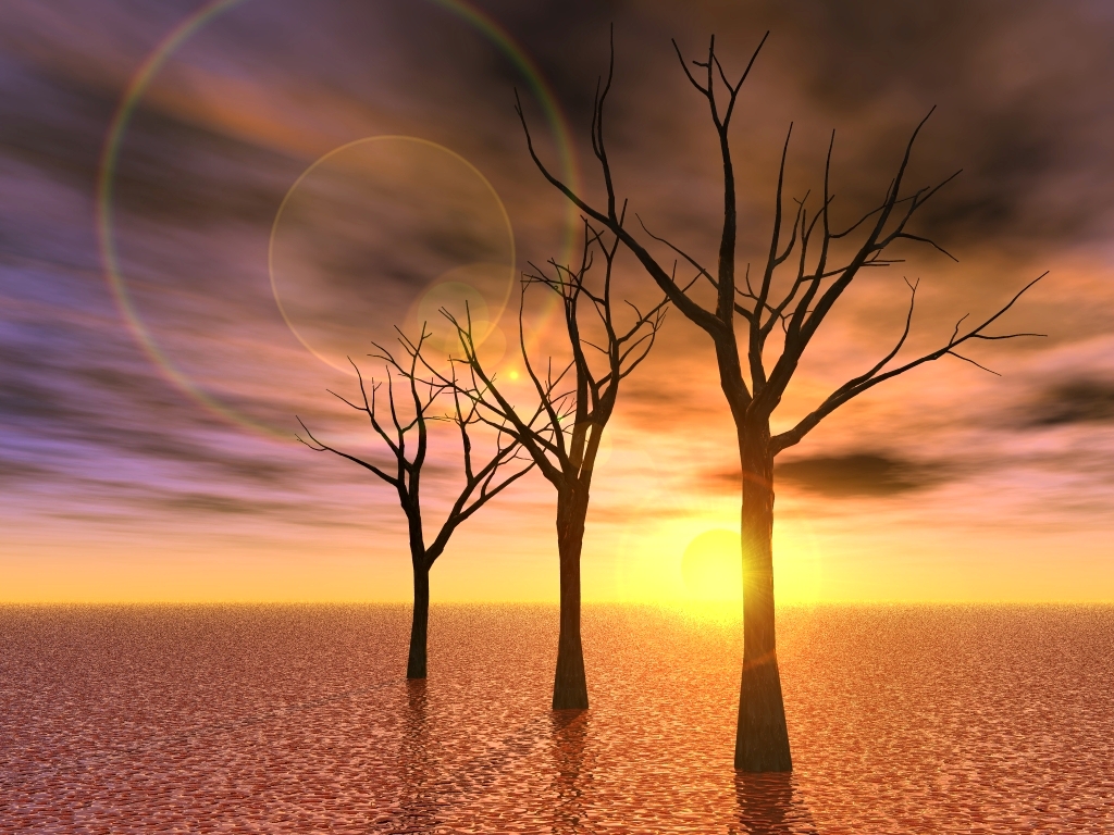 Kahle Bäume Foto & Bild | rendering, landschaftsrendering, 3d landschaften Bilder auf fotocommunity