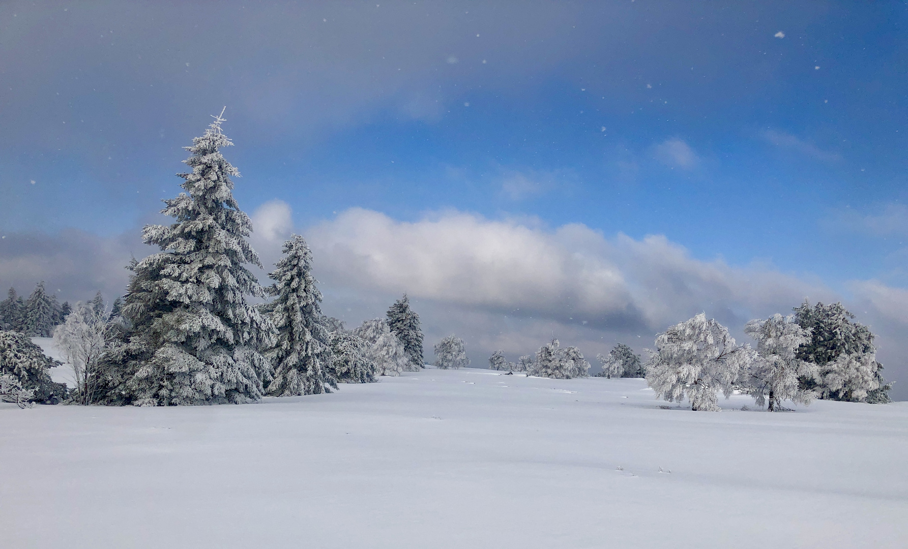 Kahler Asten im Schnee Foto & Bild | deutschland, europe, nordrhein- westfalen Bilder auf ...