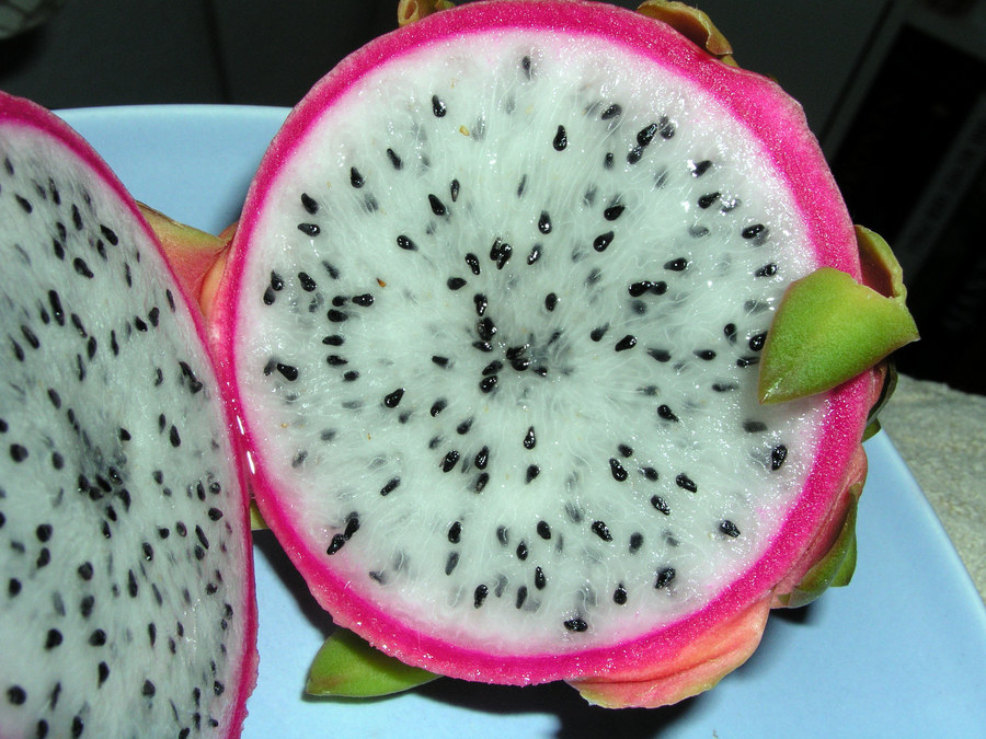 Kaktusfeige.. Foto & Bild | stillleben, food-fotografie, obst & gemüse ...