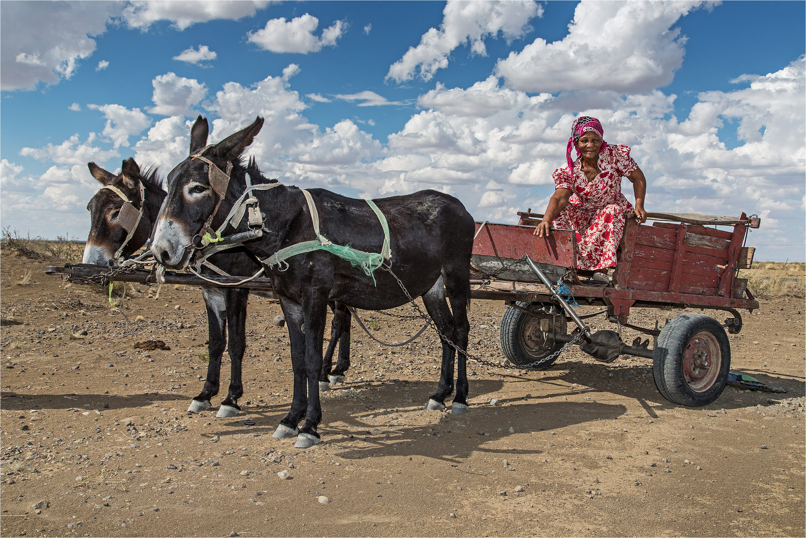 Kalahari Ferrari ... Foto & Bild | africa, southern africa, namibia ...