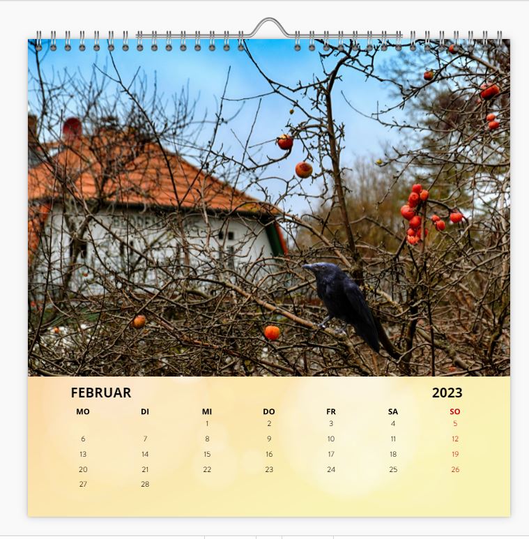 Kalenderblatt Februar Foto & Bild | spezial, landschaften, natur Bilder ...