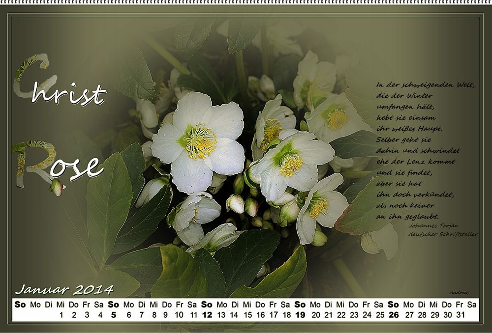 Kalenderblatt Januar 2014 Foto & Bild | karten und kalender, kalender ...