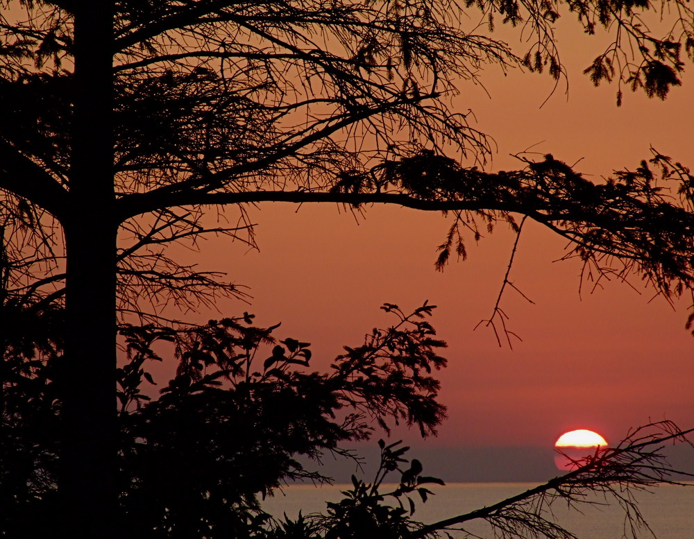 Kalifornien am Morgen°°°Die Sonne geht auf°°°Und wir sind wieder daheim ...