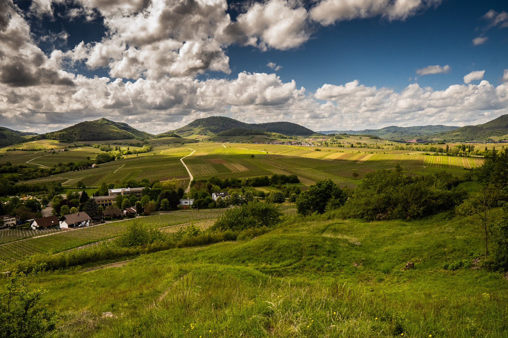 Kalmitblick Foto & Bild | landschaft, pfalz, pfälzerwald Bilder auf ...