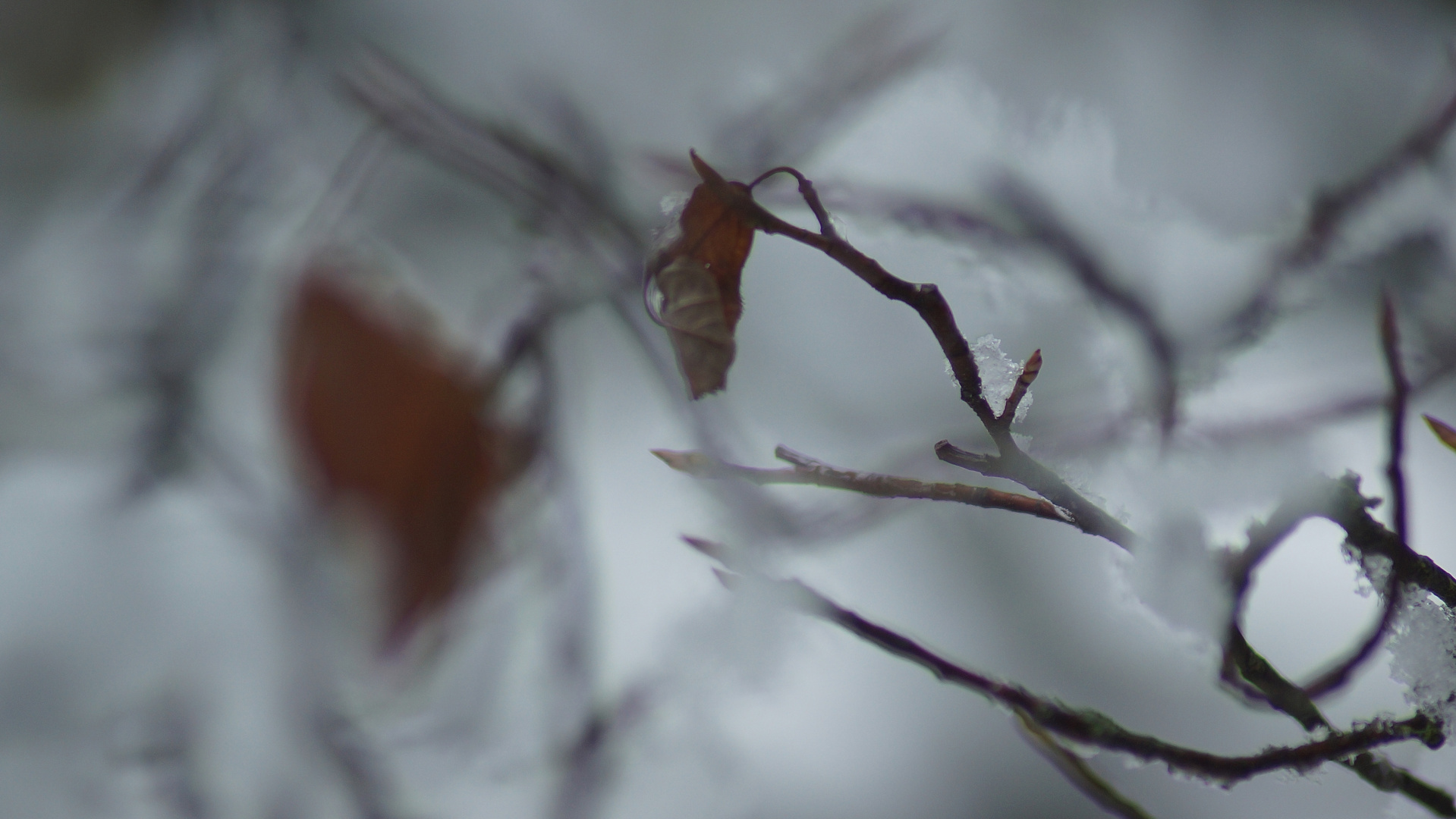 Kalt Foto & Bild | natur-makros, jahreszeiten, winter Bilder auf ...