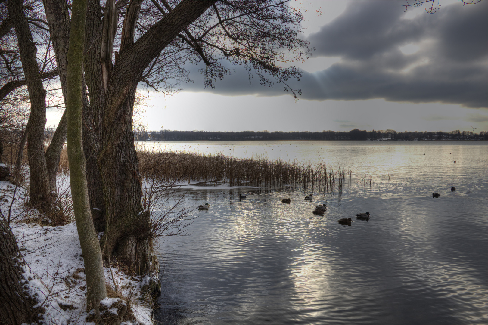 Kalt Foto & Bild | jahreszeiten, winter, natur Bilder auf fotocommunity