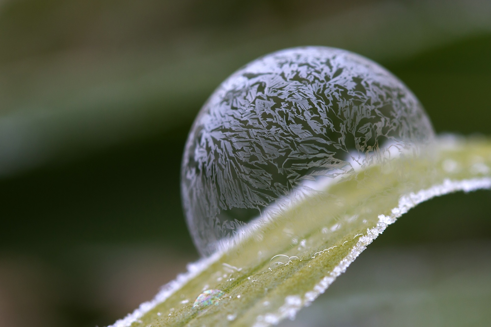 Kalt Foto & Bild | jahreszeiten, winter, natur Bilder auf fotocommunity