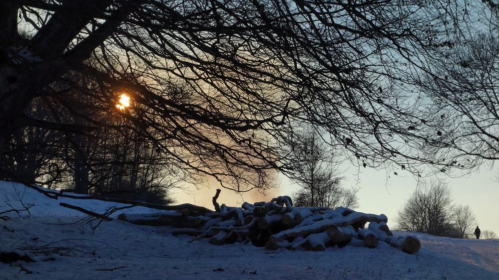 Kalt... Foto & Bild | jahreszeiten, winter, natur Bilder auf fotocommunity