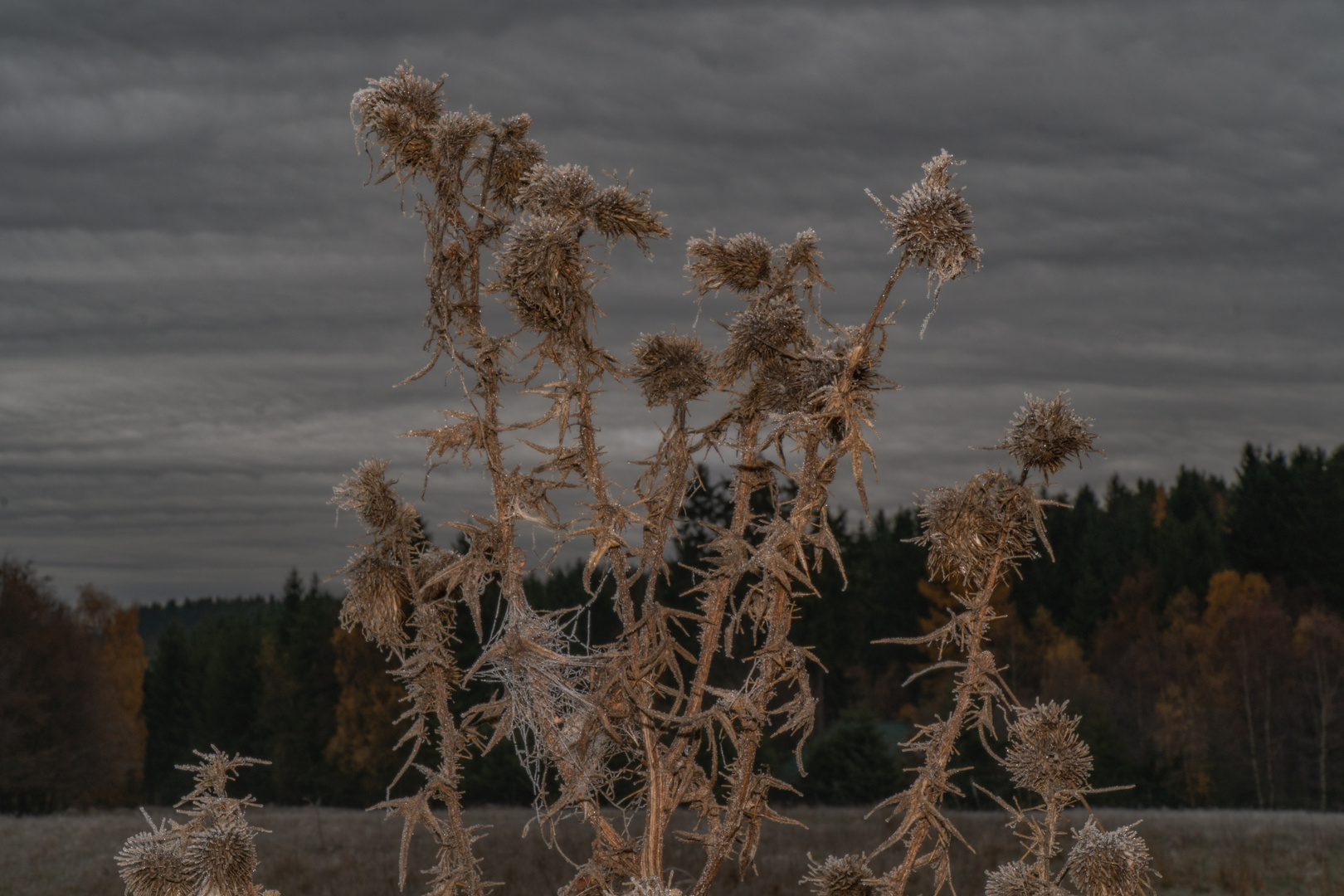 kalt Foto & Bild | landschaft, jahreszeiten, herbst Bilder auf ...