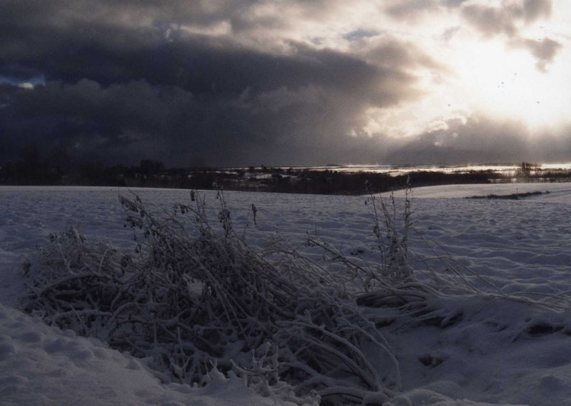 Kalt Foto & Bild | landschaft, natur Bilder auf fotocommunity