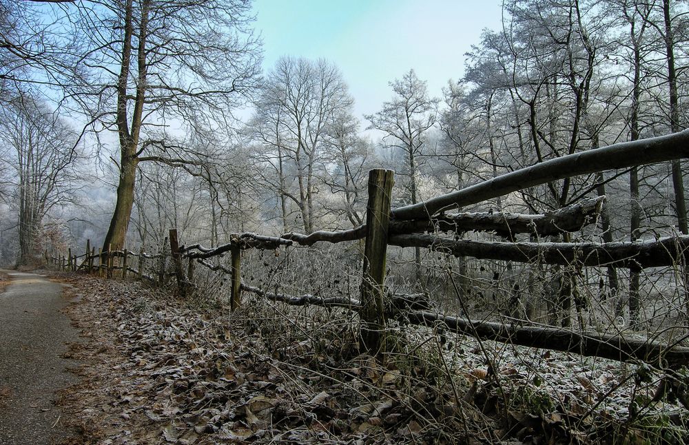 Kalt Foto & Bild | landschaft, jahreszeiten, winter Bilder auf ...