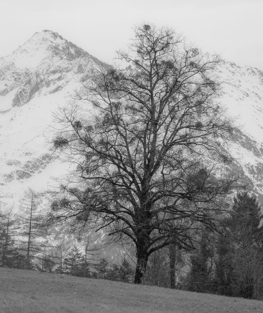 Kalt! Foto & Bild | jahreszeiten, winter, natur Bilder auf fotocommunity