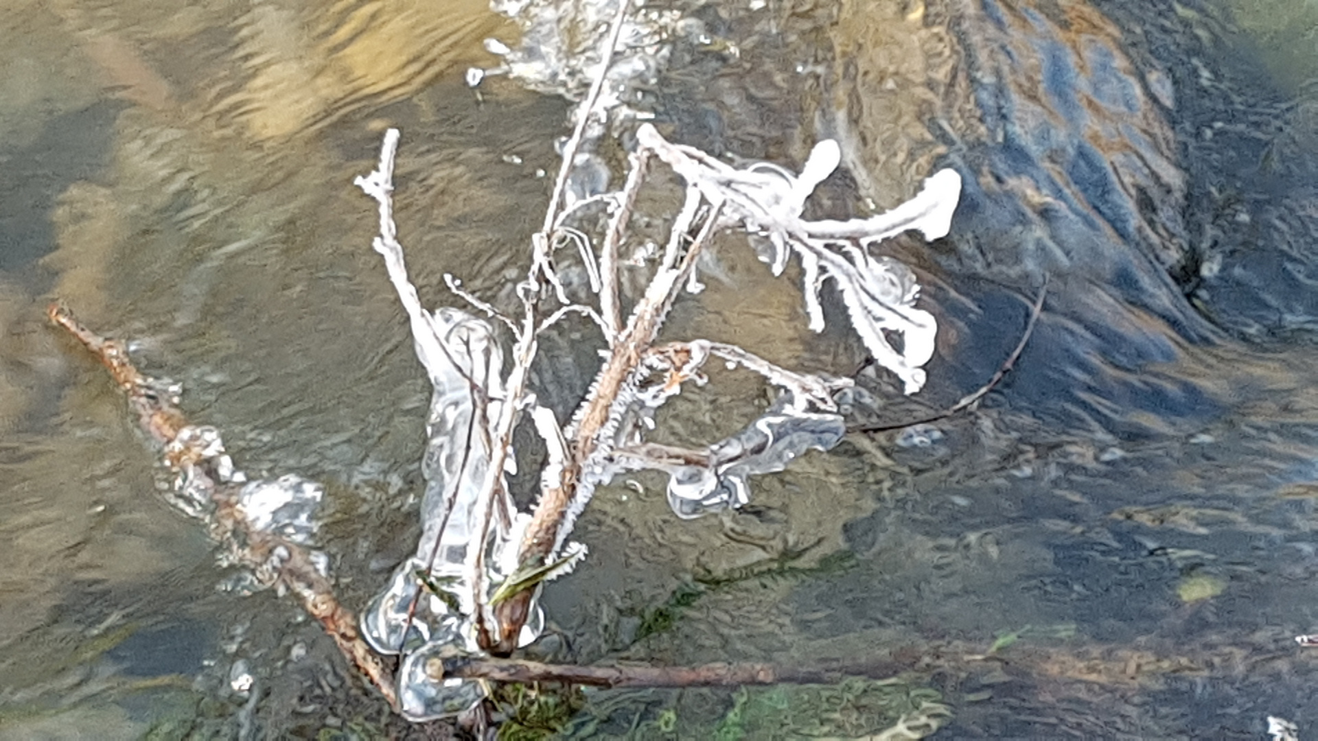 Kalt Foto & Bild | jahreszeiten, winter, natur Bilder auf fotocommunity