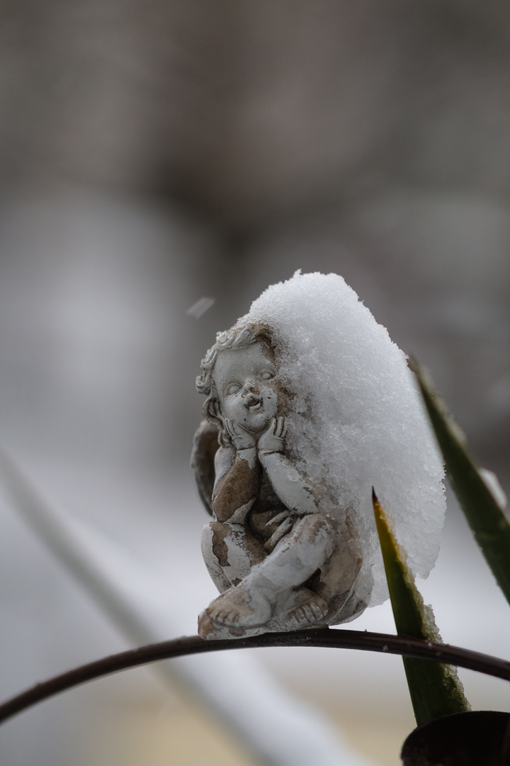 Kalt Foto & Bild | jahreszeiten, winter, kalt Bilder auf fotocommunity