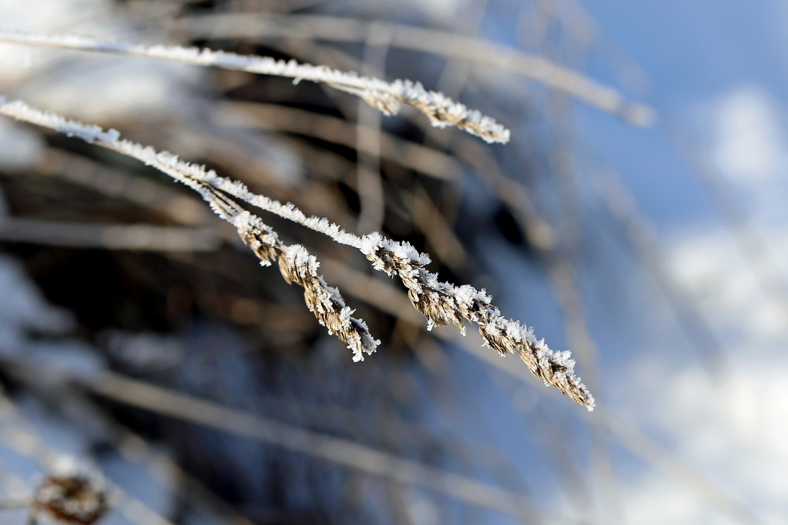 kalt Foto & Bild | kalt, januar, blau Bilder auf fotocommunity