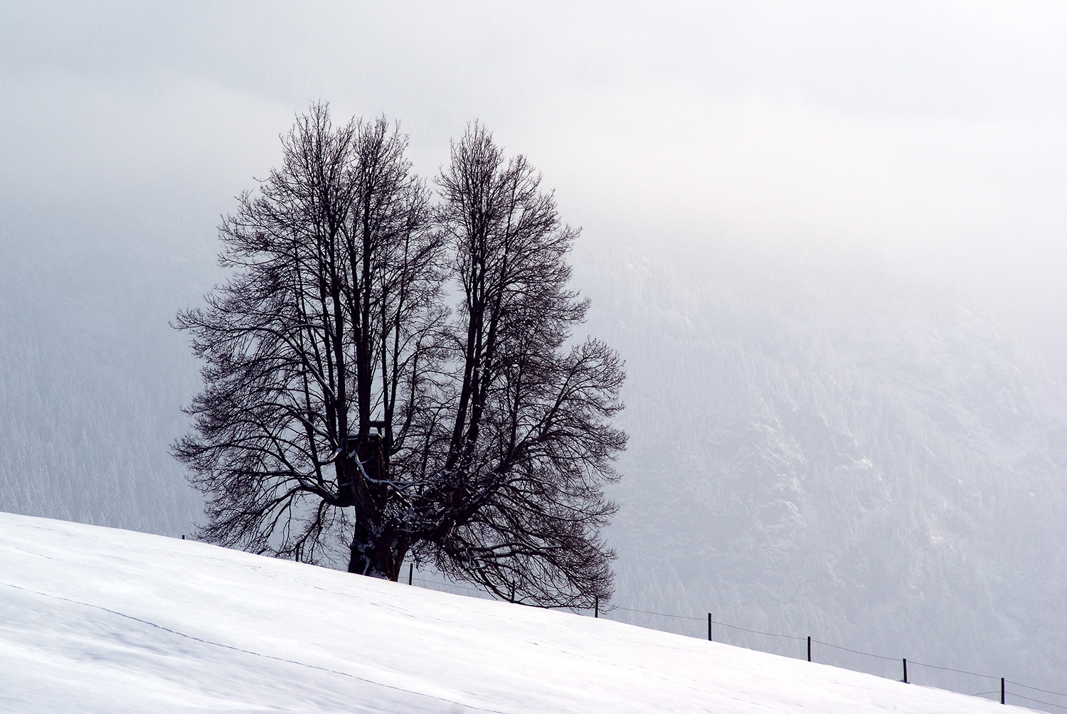 Kalt Foto & Bild | kalt, winter, schnee Bilder auf fotocommunity