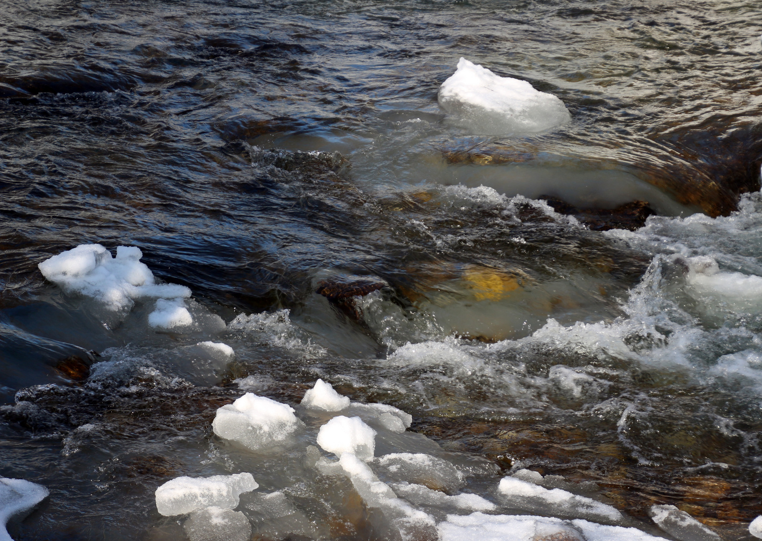 Kalt... Foto & Bild | spezial, winter, schnee Bilder auf fotocommunity