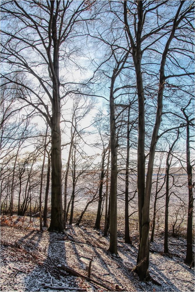 Kalt geworden Foto & Bild | fotos, art, world Bilder auf fotocommunity