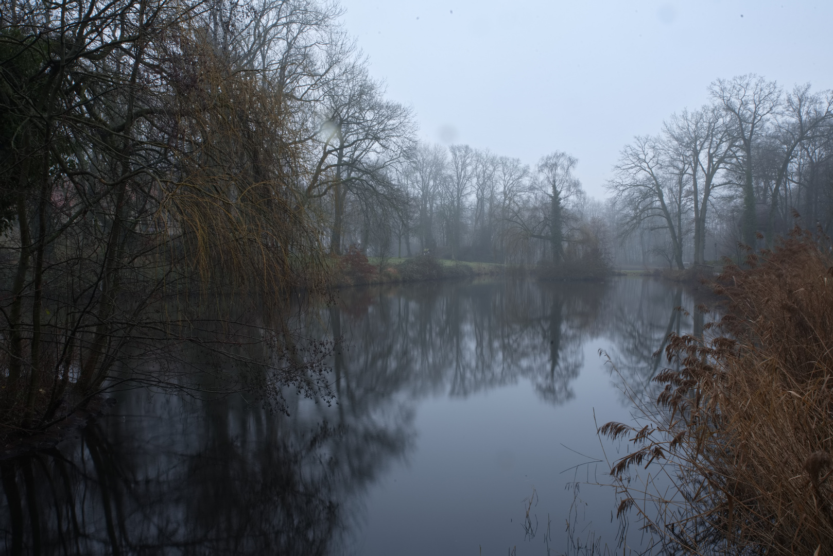 Kalt und grau Foto & Bild | jahreszeiten, winter, natur Bilder auf ...