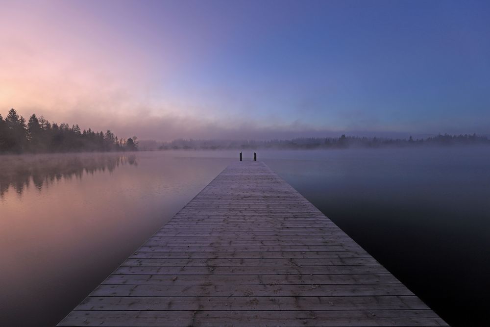 Kalt und neblig... Foto & Bild | sonnenaufgänge, projekte ...