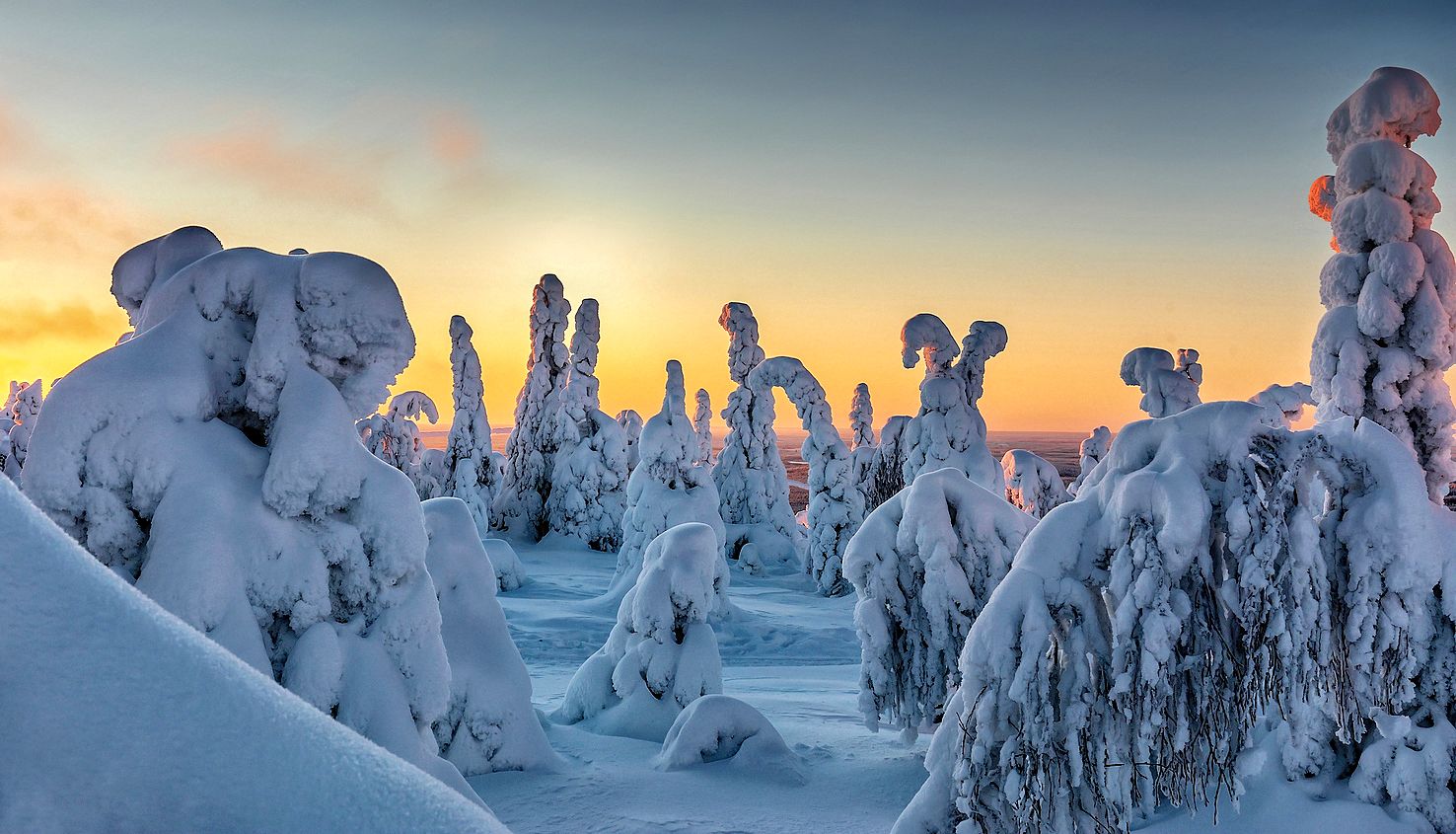 Kalt und verschneit Foto & Bild | landschaft, jahreszeiten, winter ...