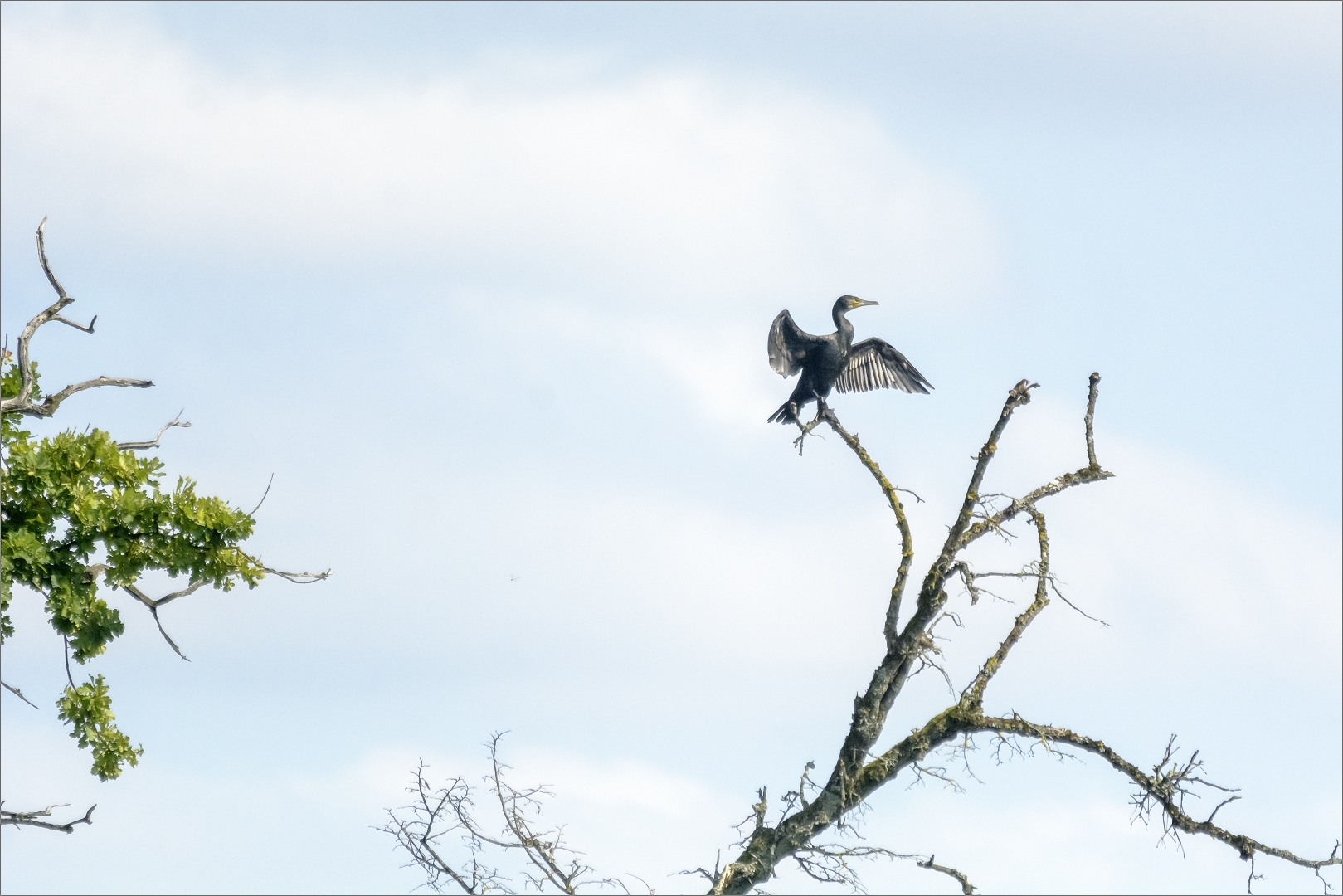 kalt / warm Foto & Bild | park, münchen, natur Bilder auf fotocommunity