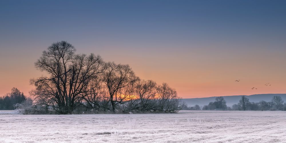 Kalt war´s ... Foto & Bild | kalt, sonnenaufgang, winter Bilder auf ...
