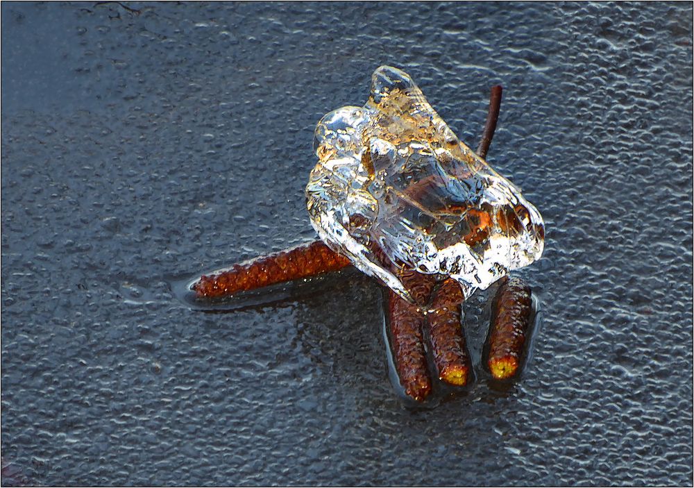 Kalte Finger ... Foto & Bild | gefroren, winter, eis Bilder auf ...