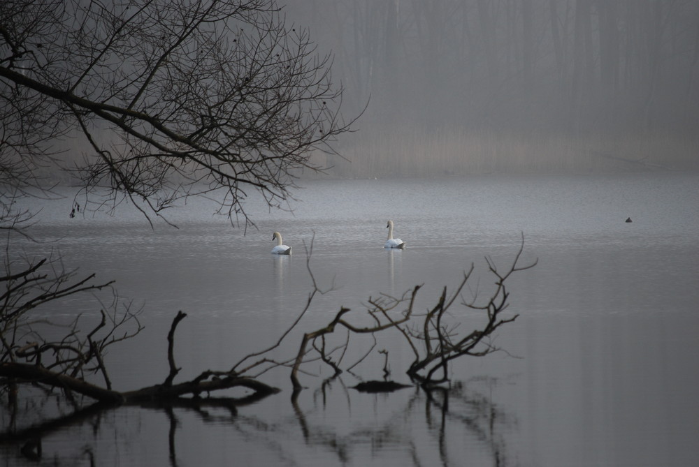 Kalte Jahreszeit Foto & Bild | landschaft, kjh, natur Bilder auf ...
