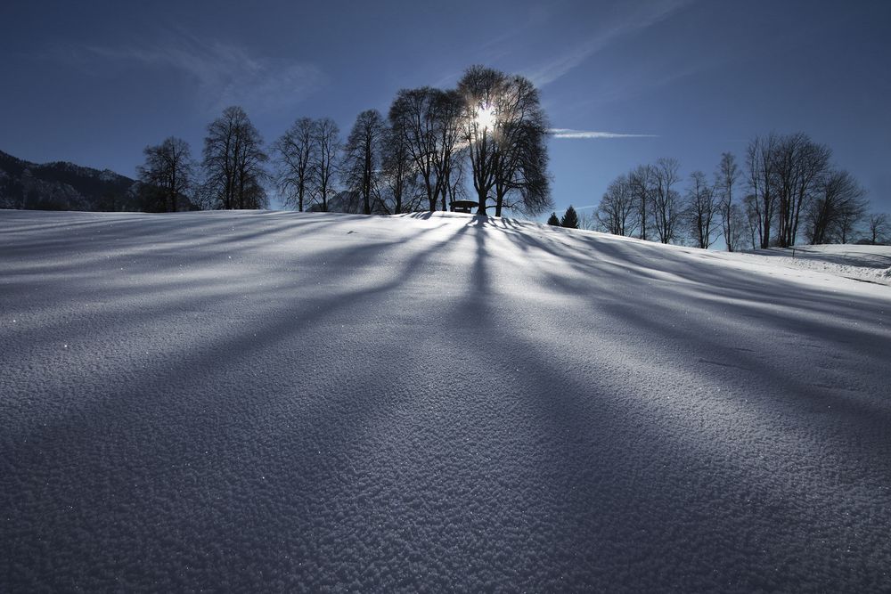 ~ kalte Schatten ~ Foto & Bild | world, bäume, winter Bilder auf ...