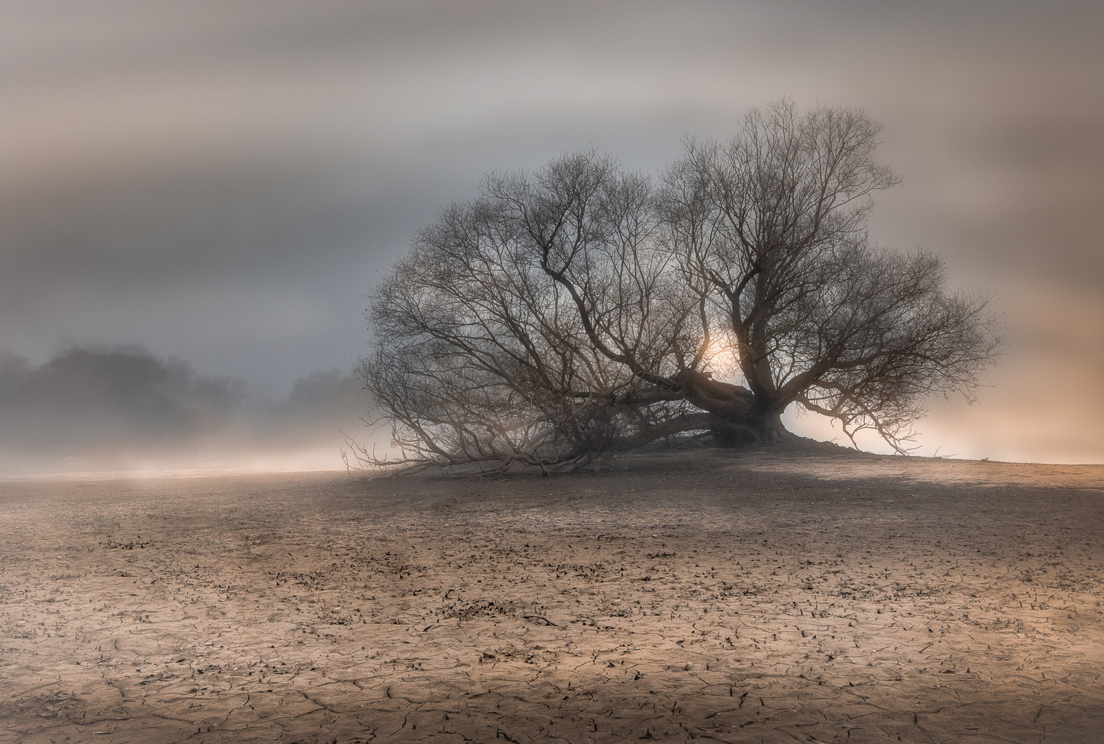Kalte Tage Foto & Bild | landschaft, jahreszeiten, winter Bilder auf ...