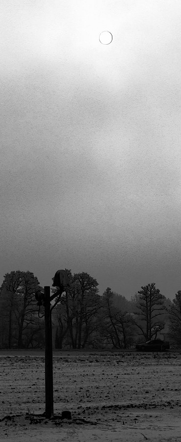 Kaltes Licht, Kalte Augen Foto & Bild | landschaften, winter, licht ...