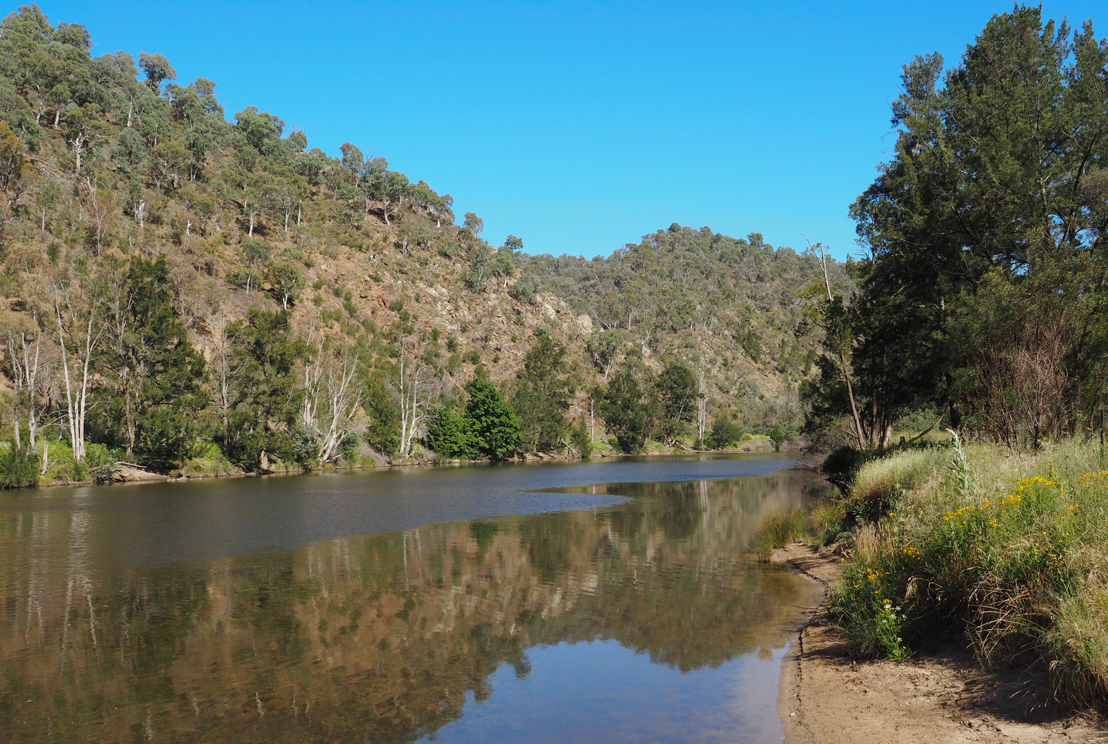 Kambah Pool am Murrumbidgee River Foto & Bild | australia & oceania ...