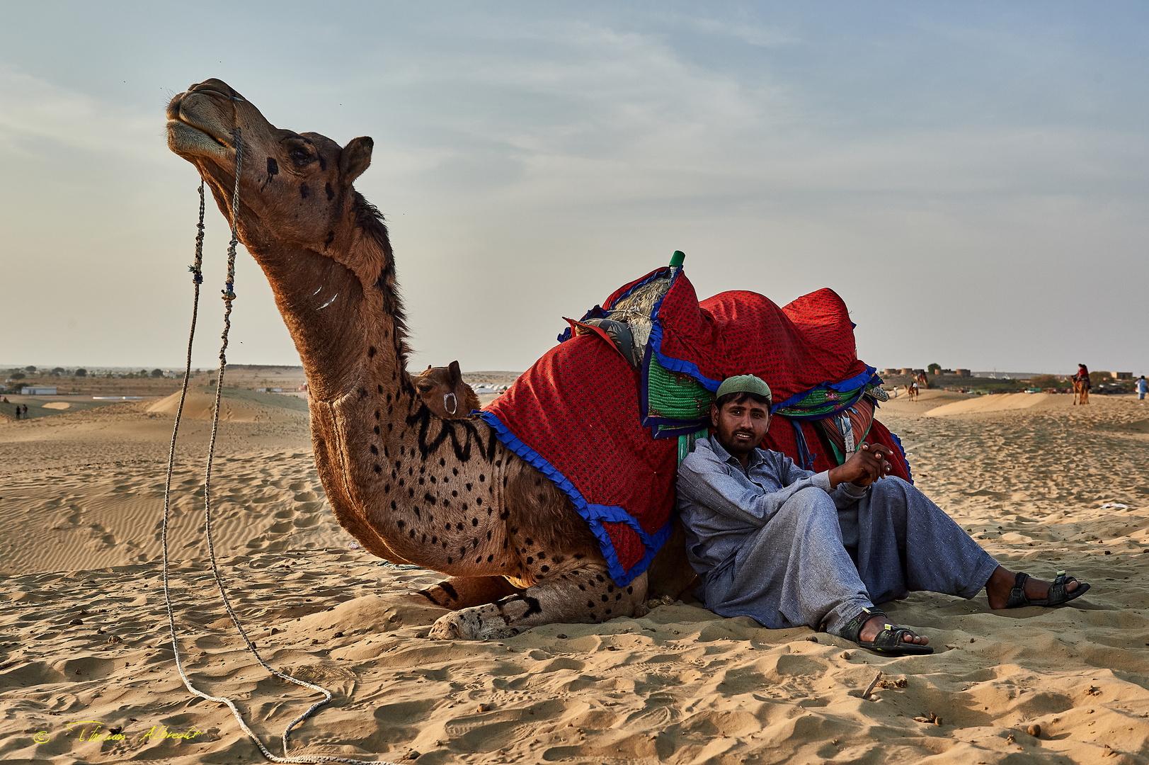 Kamel in der Wüste Thar Foto & Bild | world, outdoor, india Bilder auf ...