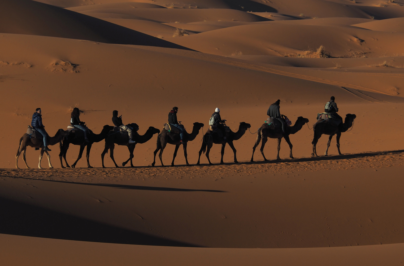 Kamel Karawane Foto & Bild | wüsten, wüste, marokko Bilder auf ...