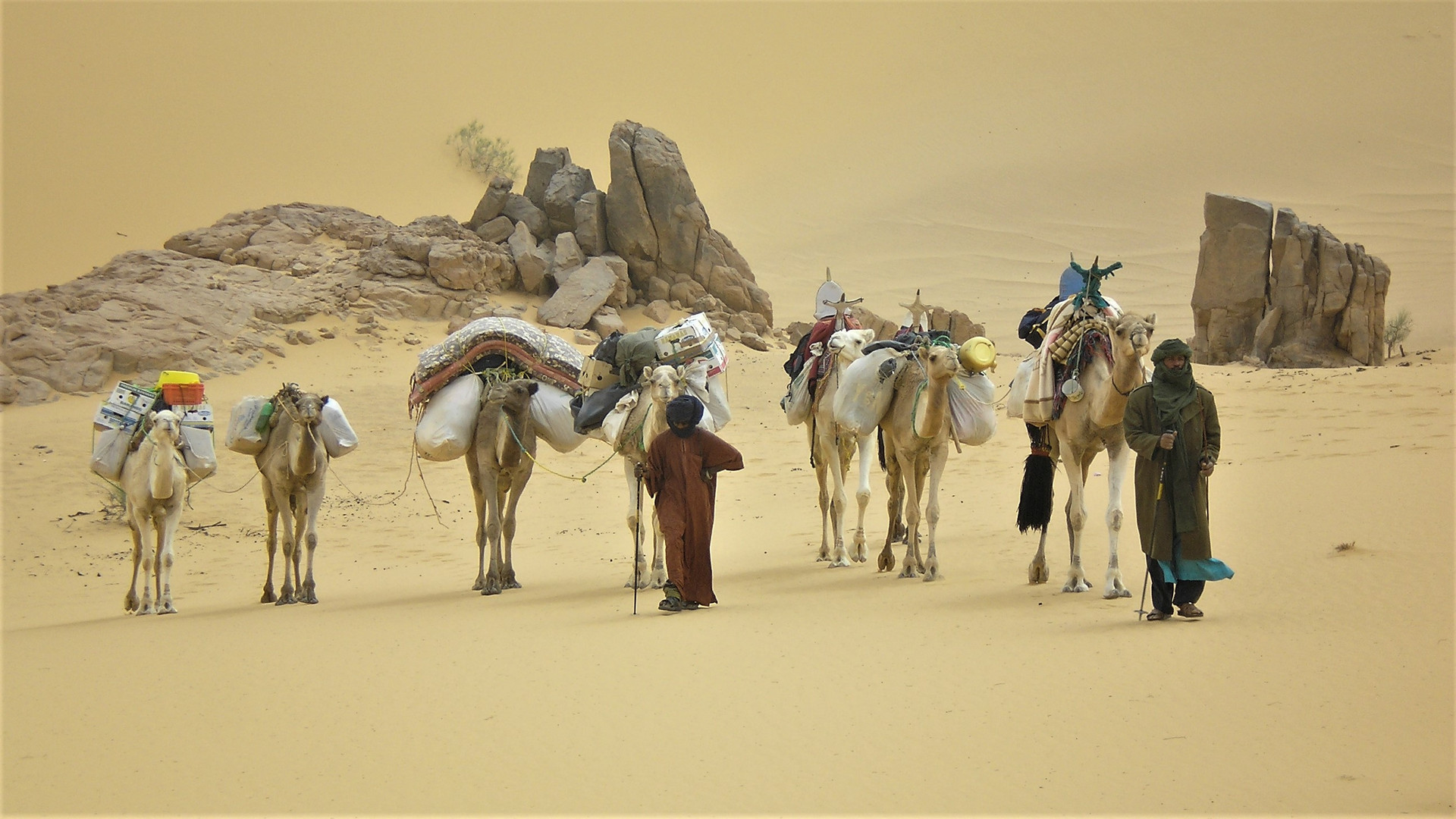 Kamelkarawane in Libyen 389 Foto & Bild | world, africa, wüste Bilder ...