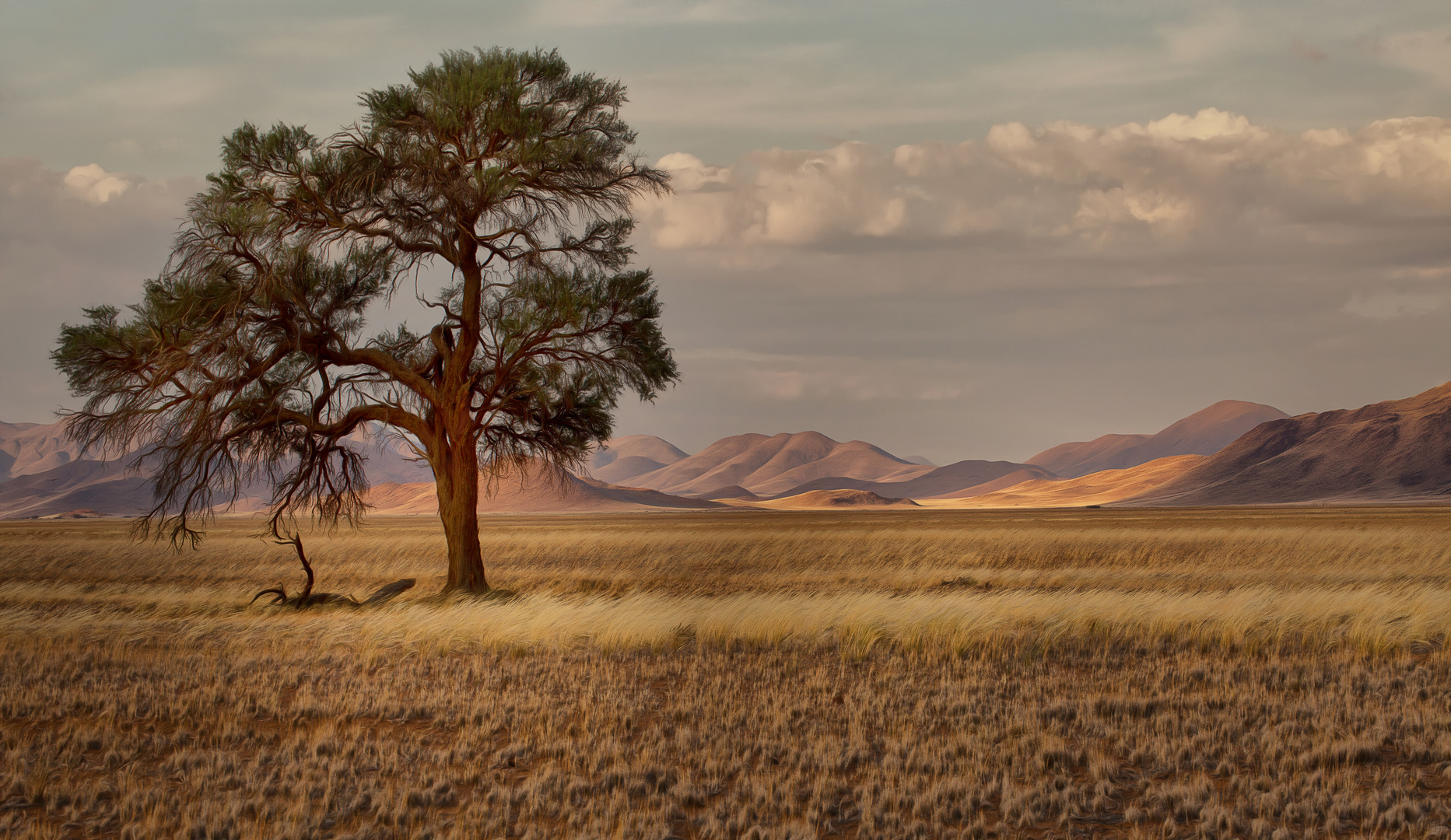 Kanaan Foto & Bild | world, namibia, africa Bilder auf fotocommunity